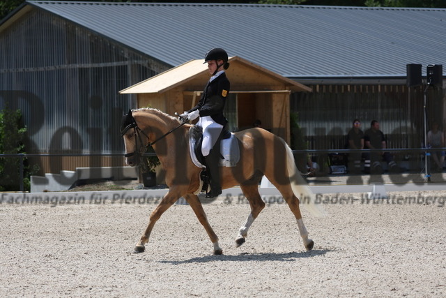 Prfg.Nr.05 2.WP Landesponysieger Dressur - Dressurreiterprüfung Kl.L