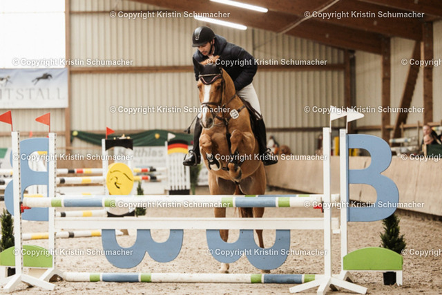 Prf. 2 Springpferde A** | Kristin Schumacher Photography